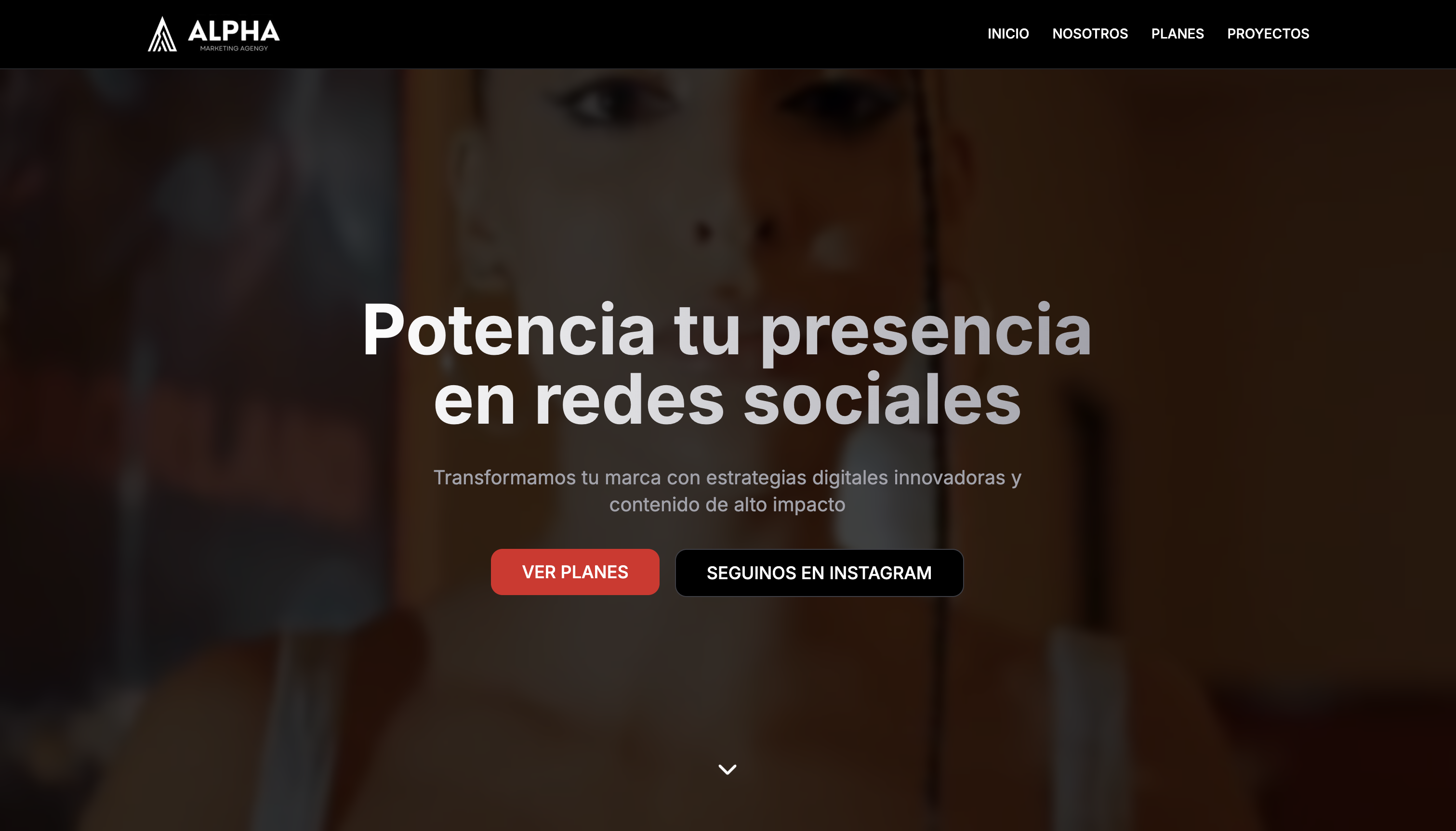 Alpha Marketing Agency